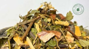 Te del indio - Brendas Hidalgo